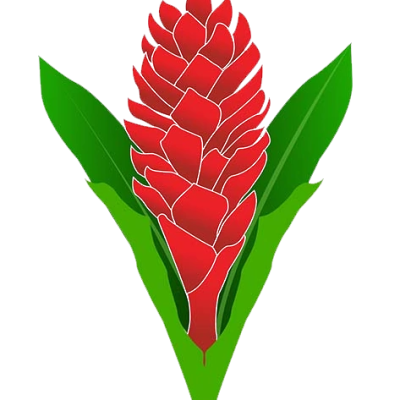 Manu Samoa to take on Ireland as Pre-Rugby World Cup 2023 schedule ...